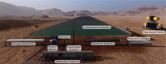 Making Martian rocket biofuel on Mars | EurekAlert!