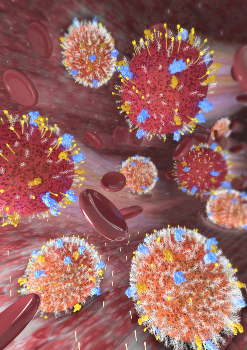 "Sticky" stem cells make for better transplan | EurekAlert!