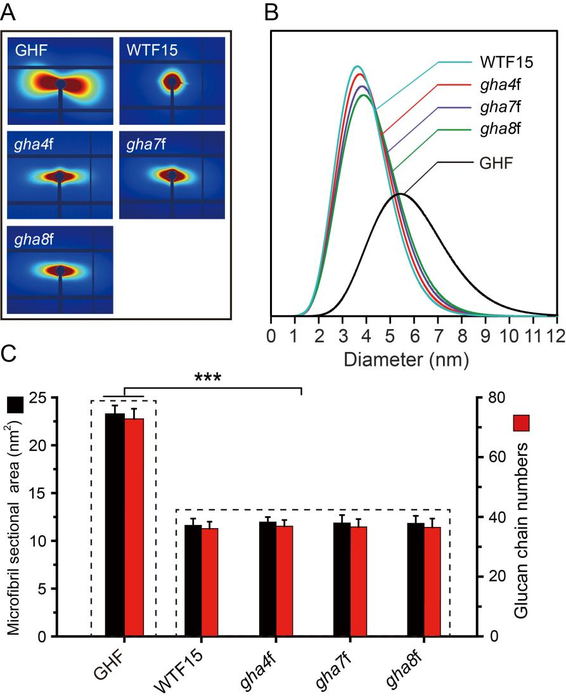 Unique 72-chain cellulose micr [IMAGE] | EurekAlert! Science News Releases