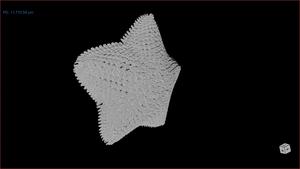 Starfish body is a head, say scientists | EurekAlert!