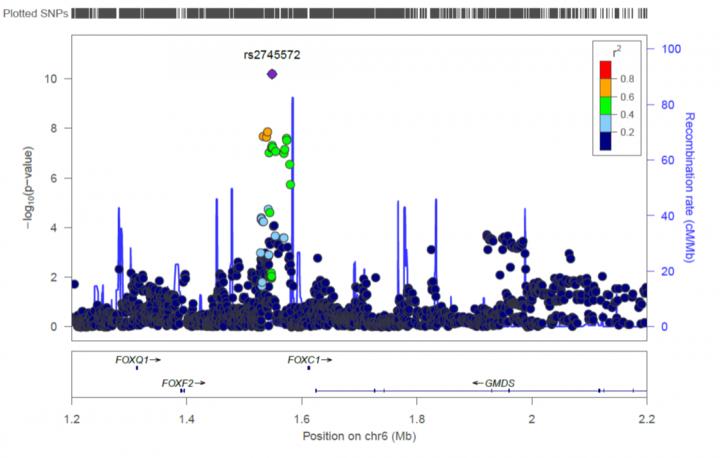 Regional Plot [IMAGE] | EurekAlert! Science News Releases