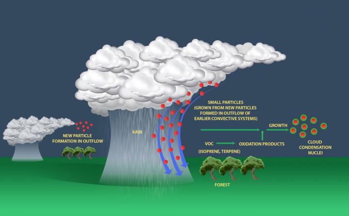 Amazon rainstorms transport atmospheric parti | EurekAlert!