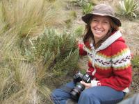 Brown biologist solves mystery of tropical gr | EurekAlert!