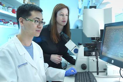 Researchers find that body clock, gut microbi | EurekAlert!