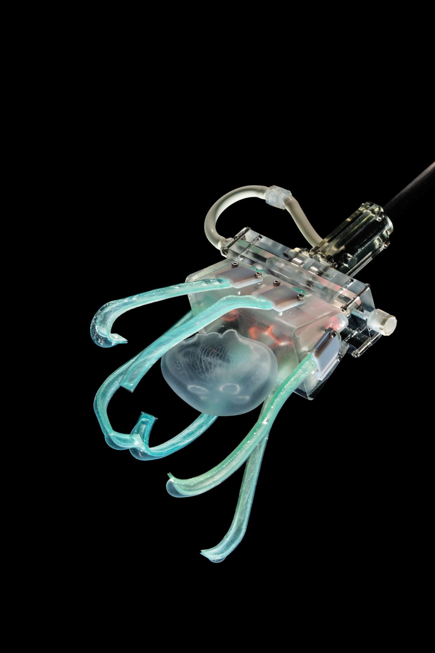 Robot and Jellyfish [IMAGE] | EurekAlert! Science News Releases