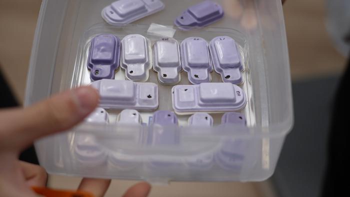 Devices [IMAGE] | EurekAlert! Science News Releases