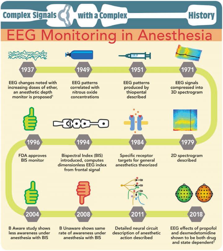 Iinfographic on EEG Monitoring [IMAGE] | EurekAlert! Science News Releases