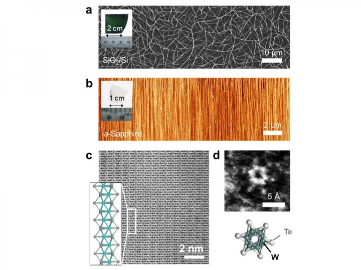 Different substrate, different [IMAGE] | EurekAlert! Science News Releases