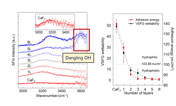 Figure 1. VSFG spectra of inte [IMAGE] | EurekAlert! Science News Releases