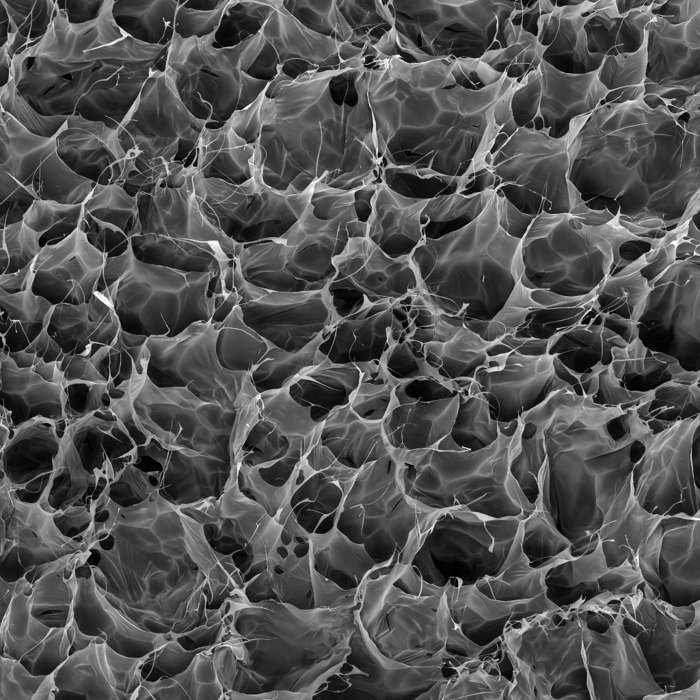 Close-up view of the implant m [IMAGE] | EurekAlert! Science News Releases