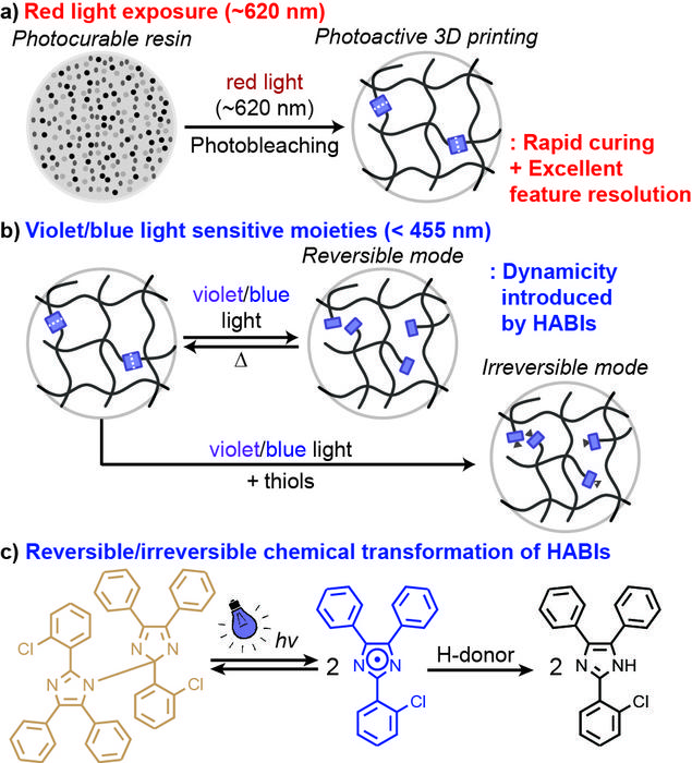 Schematic illustration of phot [IMAGE] | EurekAlert! Science News Releases