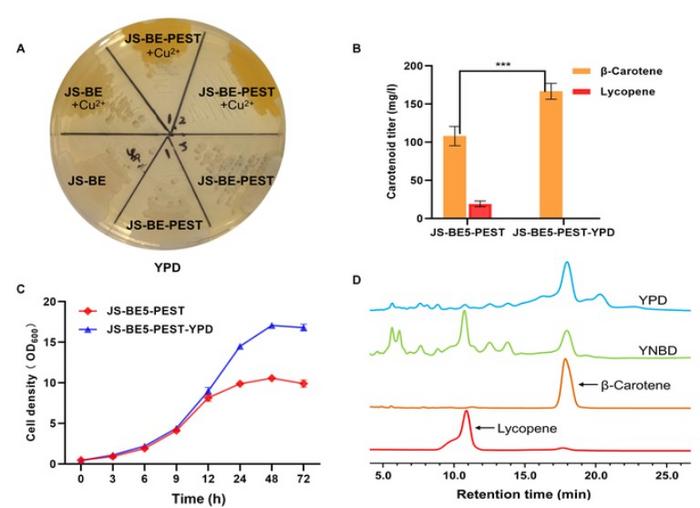 Fig. 5. Engineering the GAL sy [IMAGE] | EurekAlert! Science News Releases