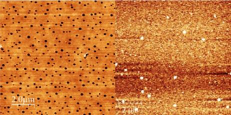 Pinholes Be Gone [IMAGE] | EurekAlert! Science News Releases