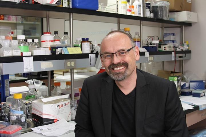 Pawel Kiela, UA Steele Childre [IMAGE] | EurekAlert! Science News Releases