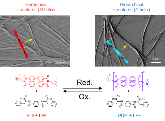 Figure 2 [image] Eurekalert Science News Releases