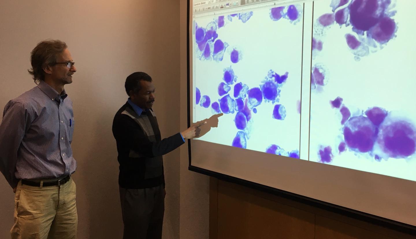 Blood Discovery Could Benefit [IMAGE] | EurekAlert! Science News Releases