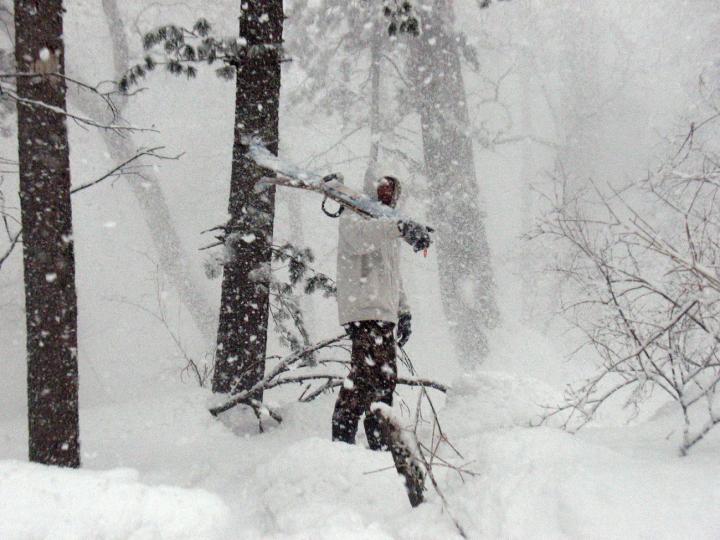 Dr. Jon Slaght, Wildlife Conse [IMAGE] | EurekAlert! Science News Releases