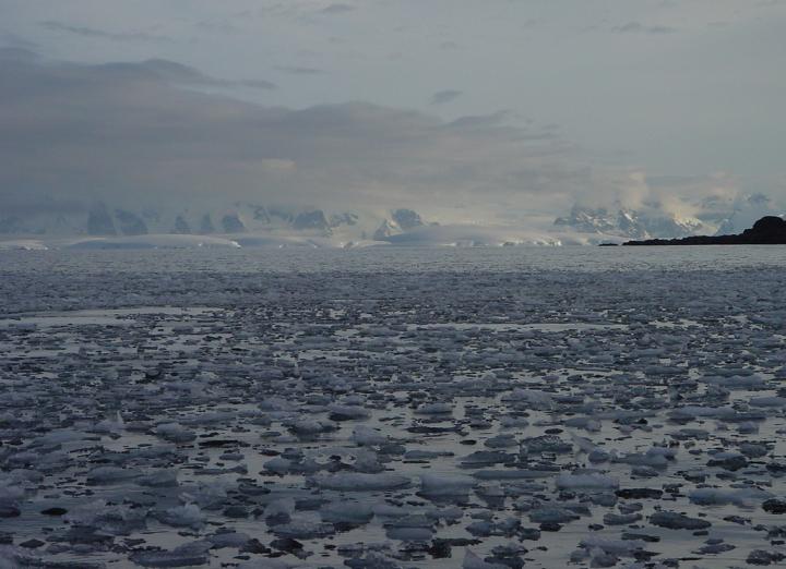 Sea Ice [IMAGE] | EurekAlert! Science News Releases