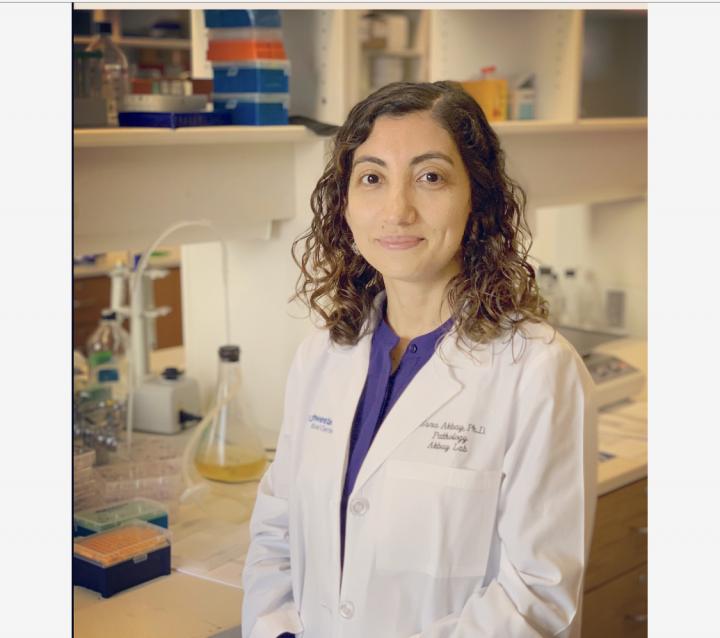Esra Akbay, Ph.D. [IMAGE] | EurekAlert! Science News Releases