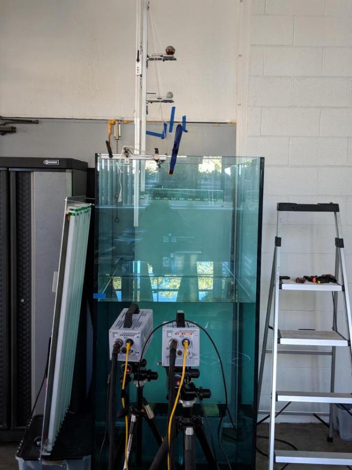 The Tank and Spheres [IMAGE] | EurekAlert! Science News Releases