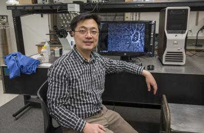 Bozhi Tian, University of Chic [IMAGE] | EurekAlert! Science News Releases