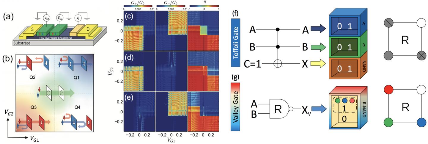 SUTD researchers discover a Valleytronics rou | EurekAlert!