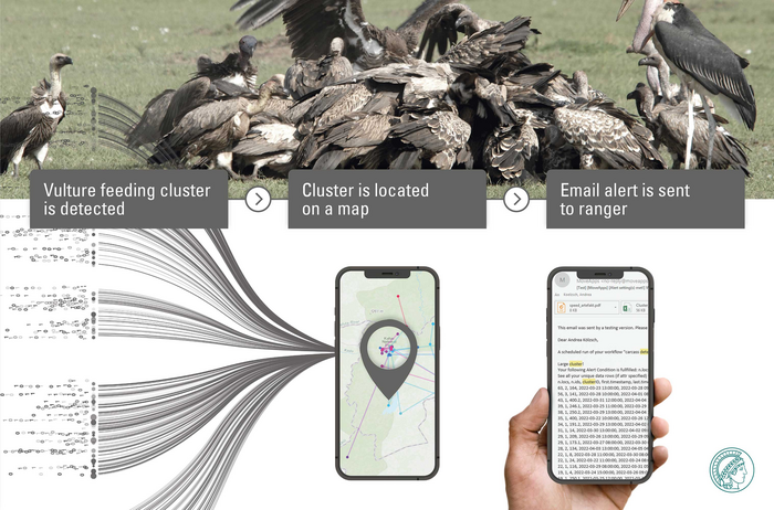 Vulture infographic [IMAGE] | EurekAlert! Science News Releases