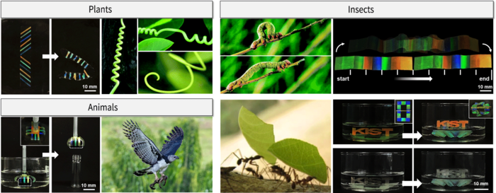 Figure 2 [IMAGE] | EurekAlert! Science News Releases