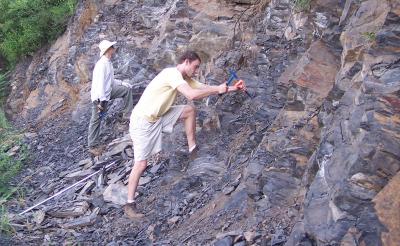 An oxygen-poor 'boring' ocean challenged evol | EurekAlert!