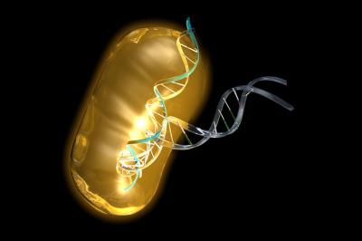 Single-Cell Studies Reveal Some Surprising In | EurekAlert!