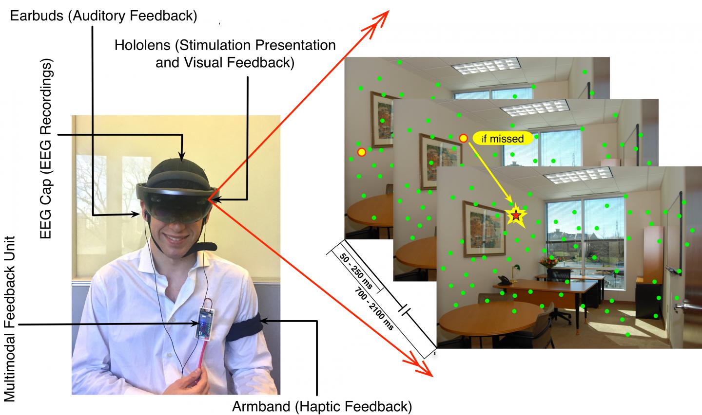 Bringing attention to visual neglect in strok | EurekAlert!
