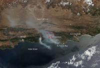 Veld Fires Unleash on South Africa | EurekAlert!