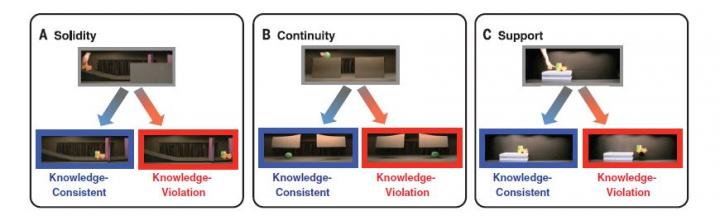 Objects that Defy Infants' Expectations Shape | EurekAlert!