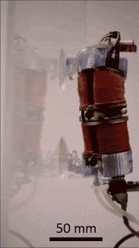 Plug-and-Play Robot Parts Improve Soft Roboti | EurekAlert!