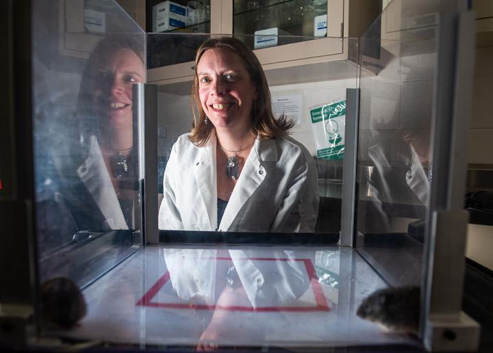 Angela Grippo [IMAGE] | EurekAlert! Science News Releases