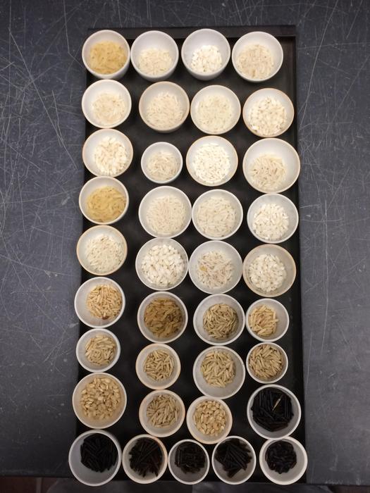 Rice [IMAGE] | EurekAlert! Science News Releases