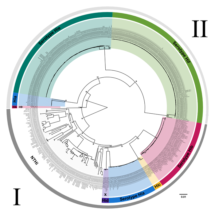 A Circos coverage plot of our [IMAGE] | EurekAlert! Science News Releases