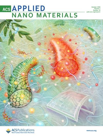ACS Applied Nano Materials
