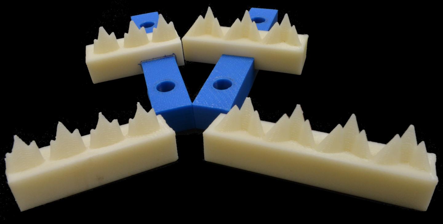 Replica Triassic Teeth; Morgan [IMAGE] | EurekAlert! Science News Releases