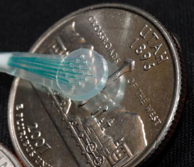 16-Microelectrode Grid [IMAGE] | EurekAlert! Science News Releases