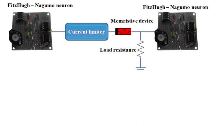 Memristive device as an active synapse | EurekAlert!