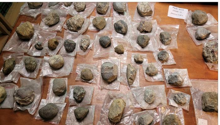 Stone percussors and hammersto [IMAGE] | EurekAlert! Science News Releases