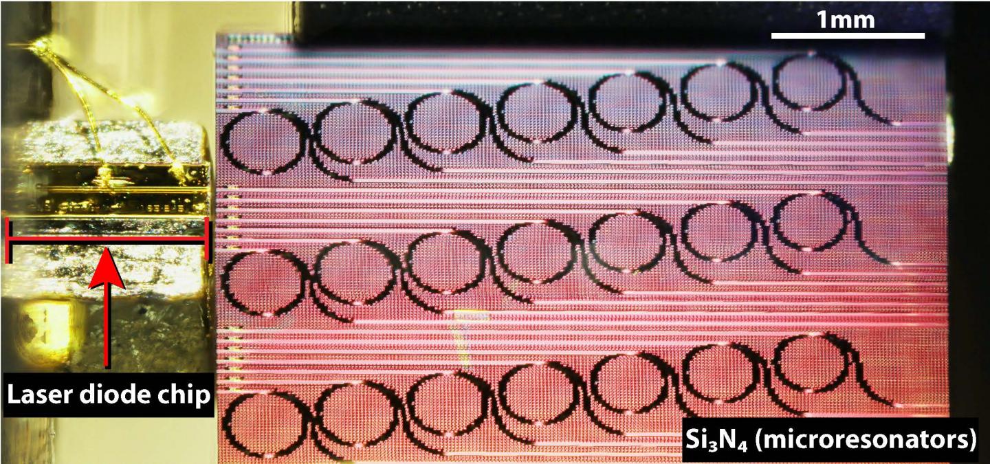 A Photograph of the Microreson [IMAGE] | EurekAlert! Science News Releases