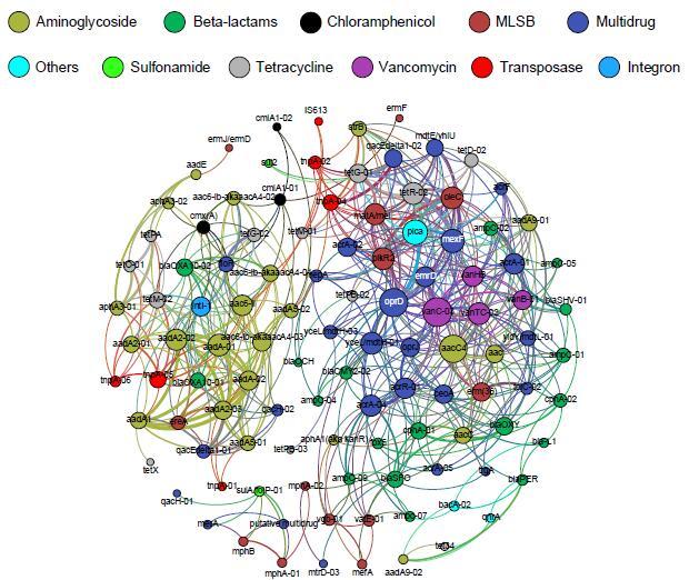 Antibiotic Resistance Genes [IMAGE] | EurekAlert! Science News Releases