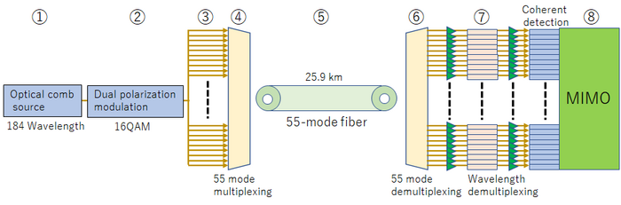Schematic Diagram [IMAGE] | EurekAlert! Science News Releases