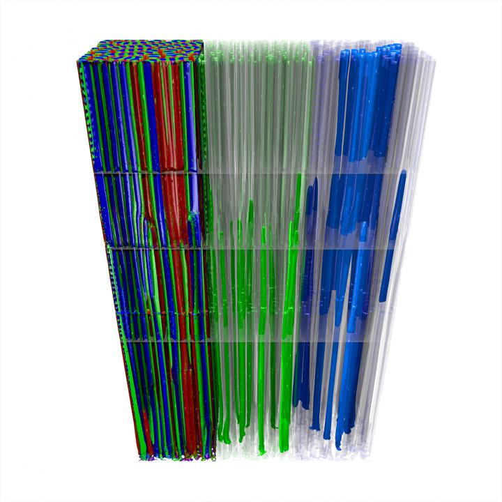 Microstructure During Solidifi [IMAGE] | EurekAlert! Science News Releases