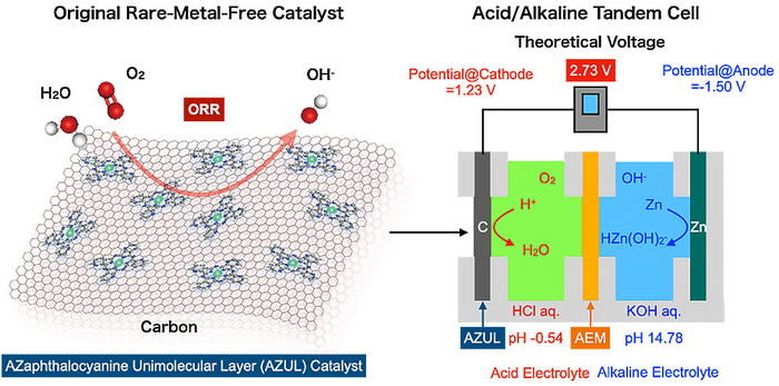 Figure 1 [IMAGE] | EurekAlert! Science News Releases