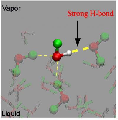 MD Simulation Trajectory [IMAGE] | EurekAlert! Science News Releases