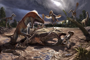 Researchers discover largest ‘raptor’ dinosau | EurekAlert!