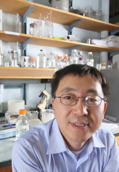 Xiaoqi Liu, Purdue University [IMAGE] | EurekAlert! Science News Releases